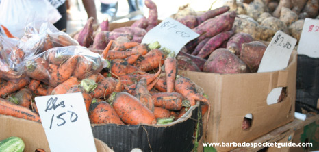 Agriculture & Farming - Barbados Pocket Guide