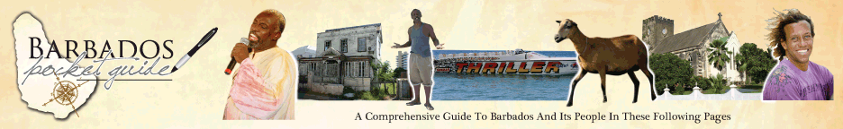 Mango Tree - Barbados Pocket Guide